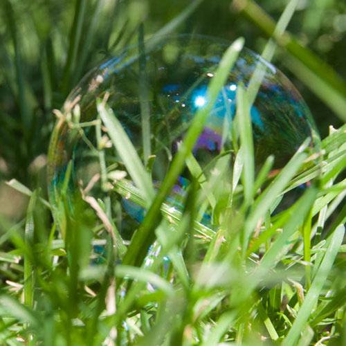 Steve Spangler Science: Strong Bubbles | K8 Librarian