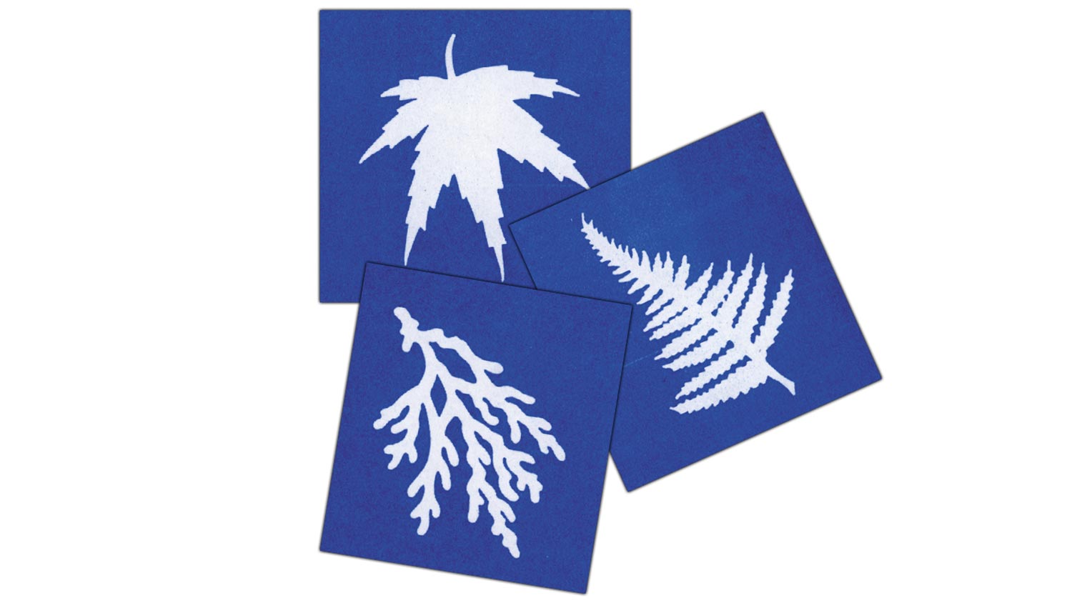Sun Sensitive Paper Photosensitive Steve Spangler Science sun-sensitive-paper-photosensitive-steve-spangler-science